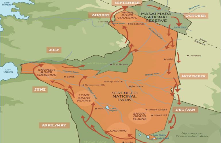 The Great Wildebeest Migration Safari and the best Serengeti tours in ...